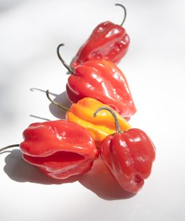 Why I Love Cayenne Pepper, The Spicy Herb With a Million Uses